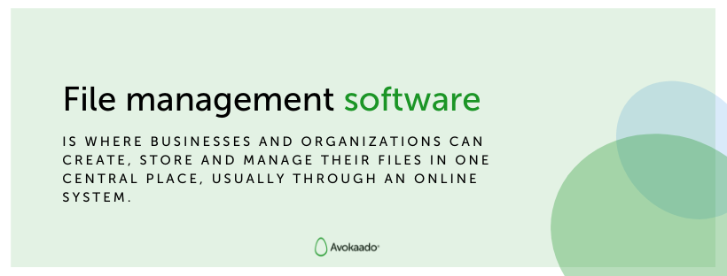 The Hottest File Management Software of 2021 - Avokaado Blog